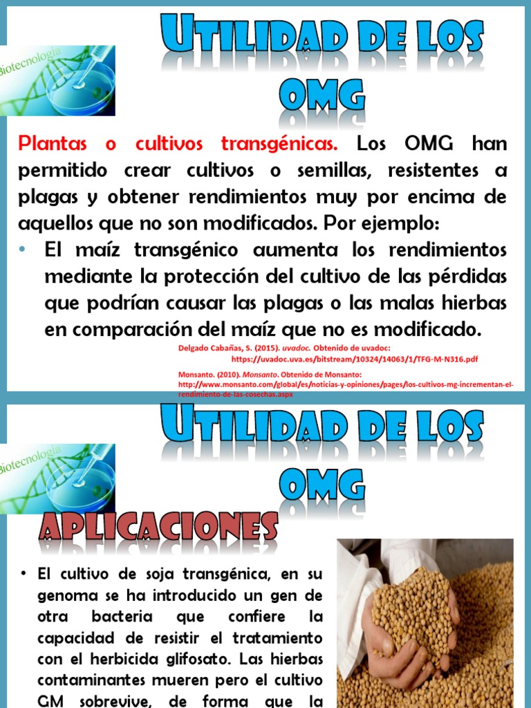 Utilidad de Los Omg | PDF | Organismo genéticamente modificado | Patata