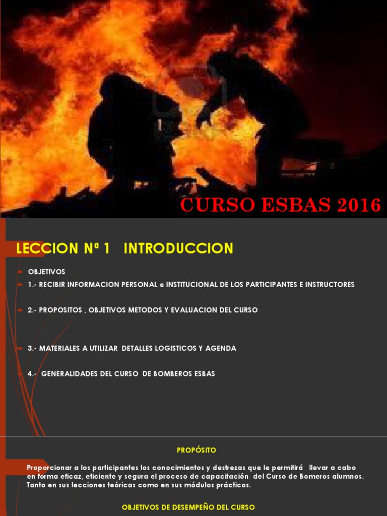 ESBAS 201ppt | PDF | Combustión | Combustibles