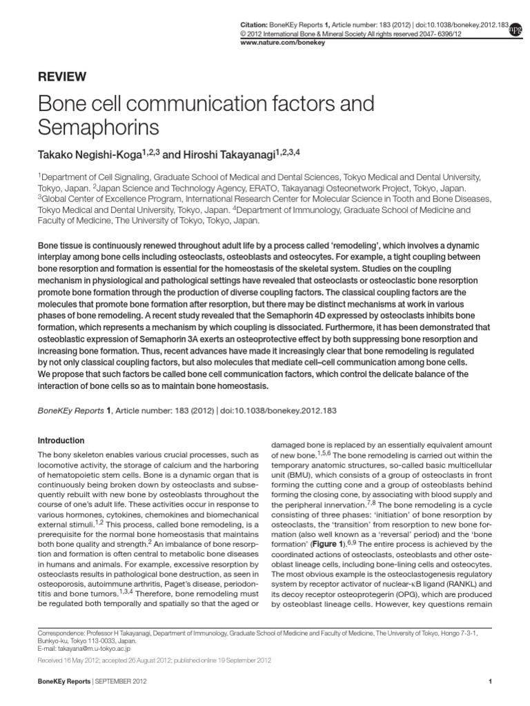 Bone Key 2012183 | PDF | Bone | Osteoblast