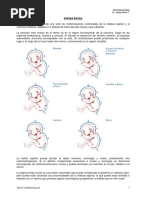 Historia Clínica Neurológica y Batiestesia | PDF | Lengua | Músculo