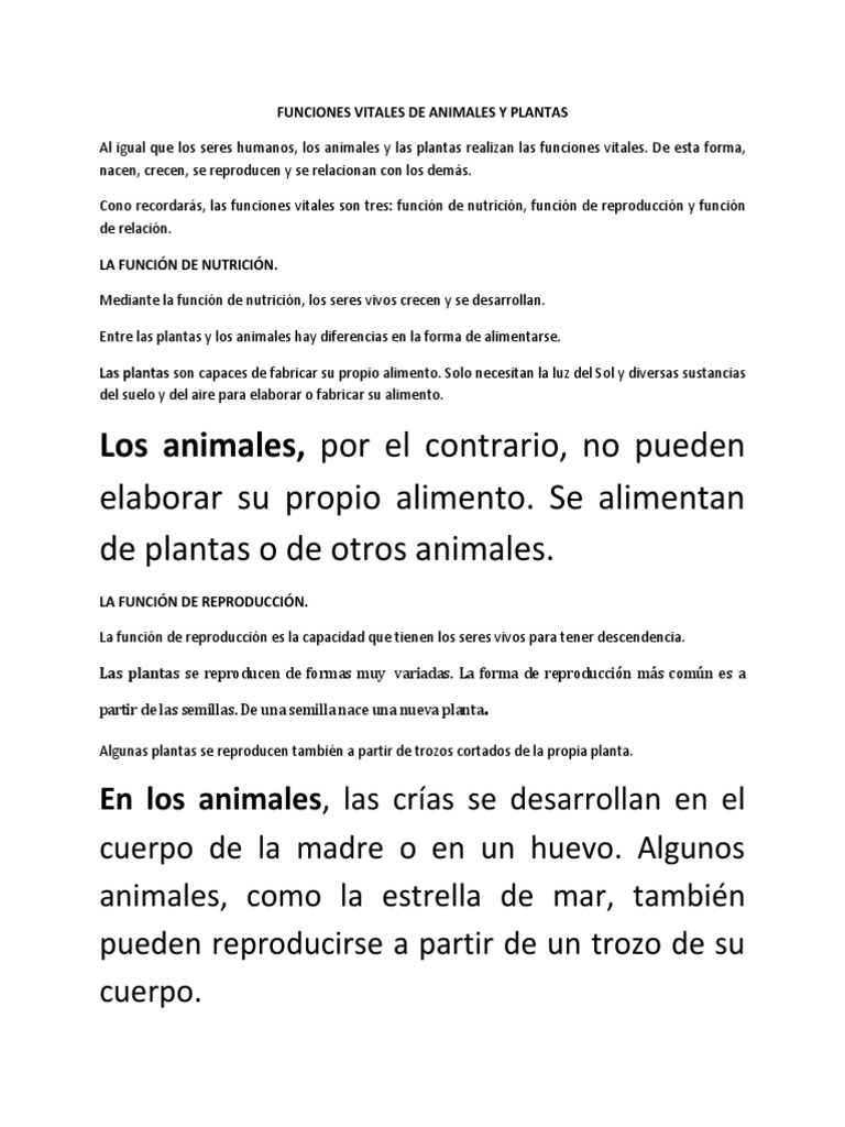 Funciones Vitales de Animales y Plantas | PDF | Fotosíntesis | Glucosa