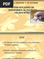 Nanda Nic Noc | PDF | Dolor | Cerebro