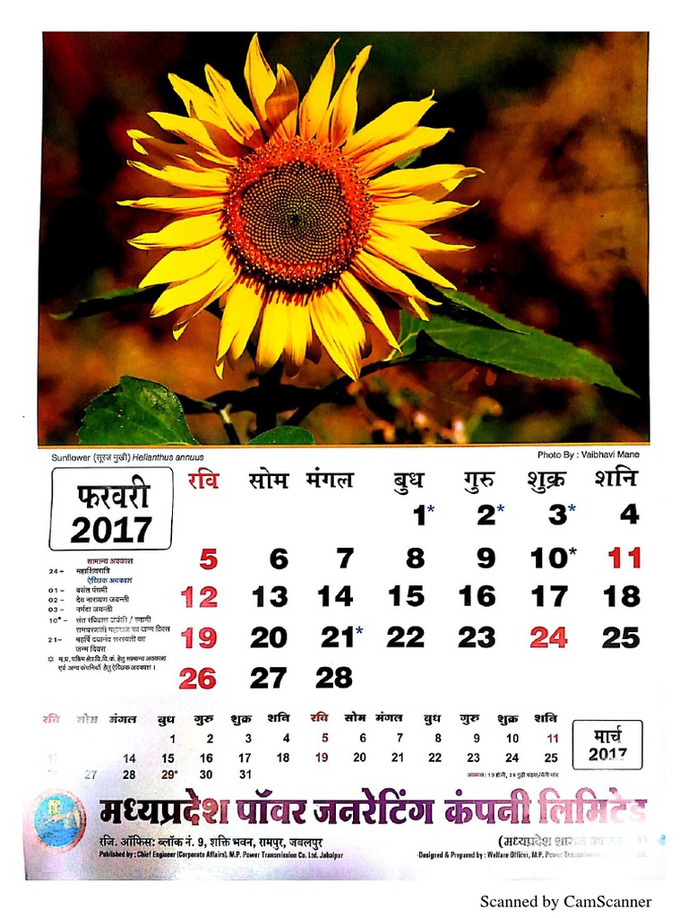 Calender MPPGCL | PDF