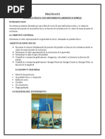 Inserto Spinreact Creatinina | PDF | Creatinina | Química