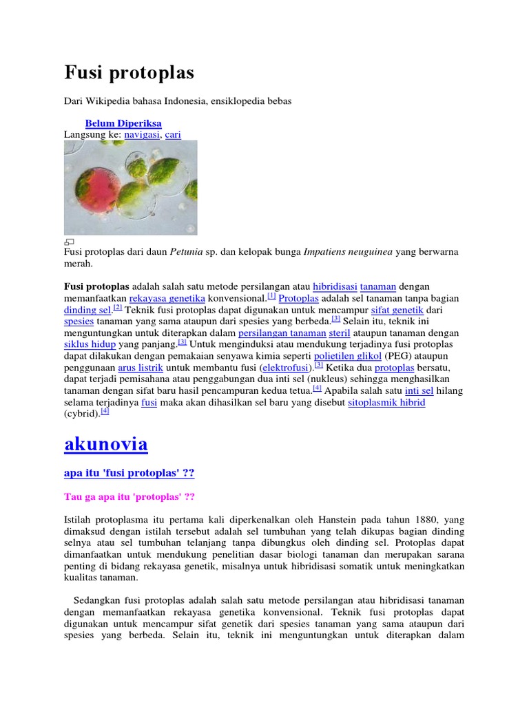 Fusi Protoplas | PDF