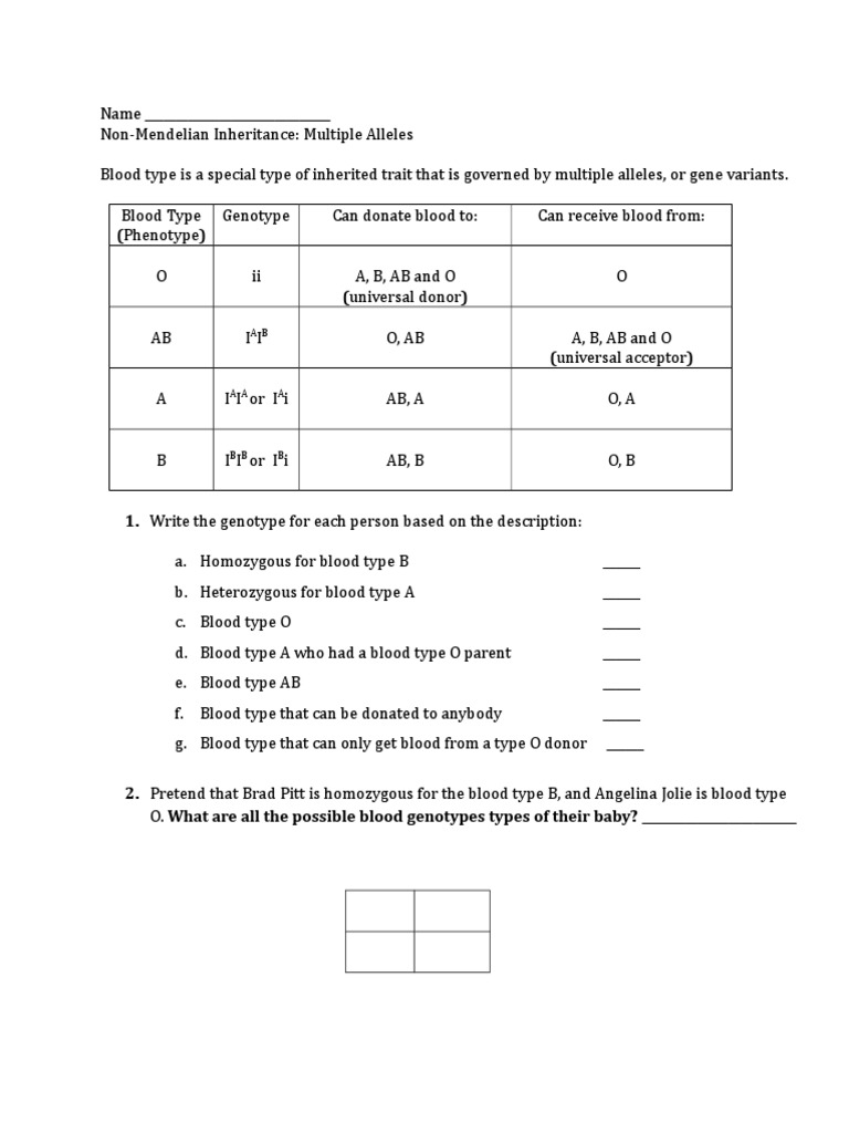 ABO Blood Type Worksheet | PDF | Zygosity | Genotype