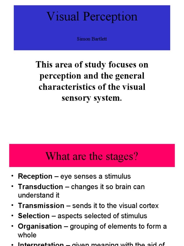 E A Visual Perception | PDF | Perception | Visual Perception