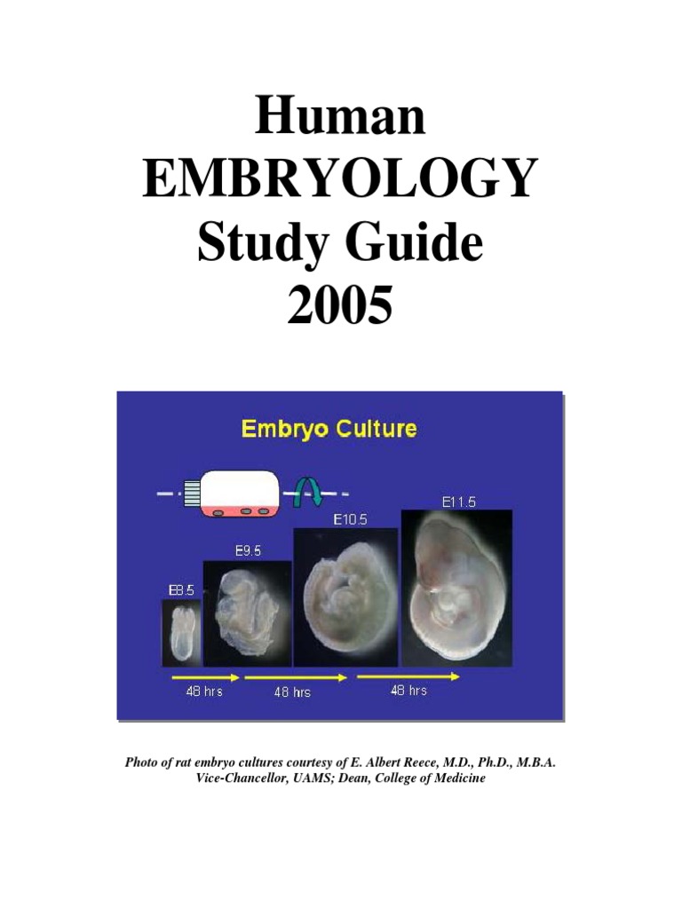 Embryology | PDF | Cellular Differentiation | Nervous System