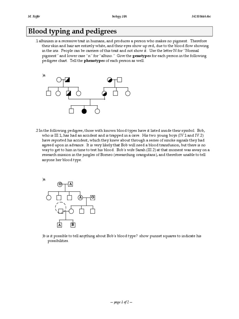 Blood Typing and Pedigrees | PDF | Genetics | Biology