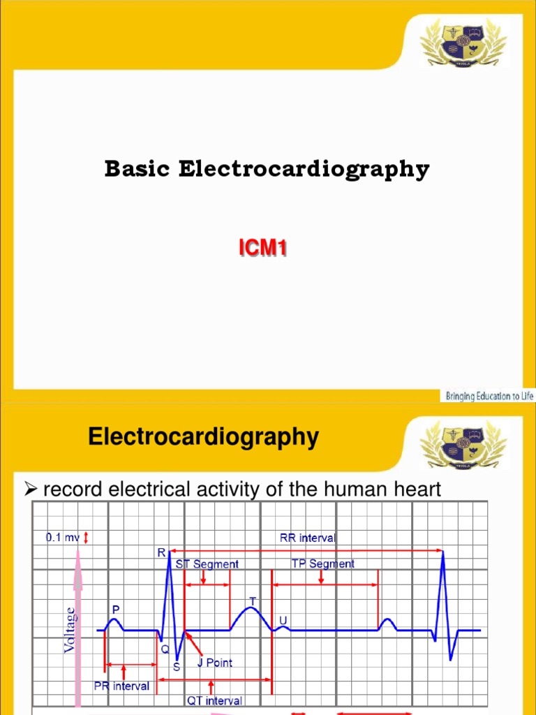 Basic Electrocardiography | PDF