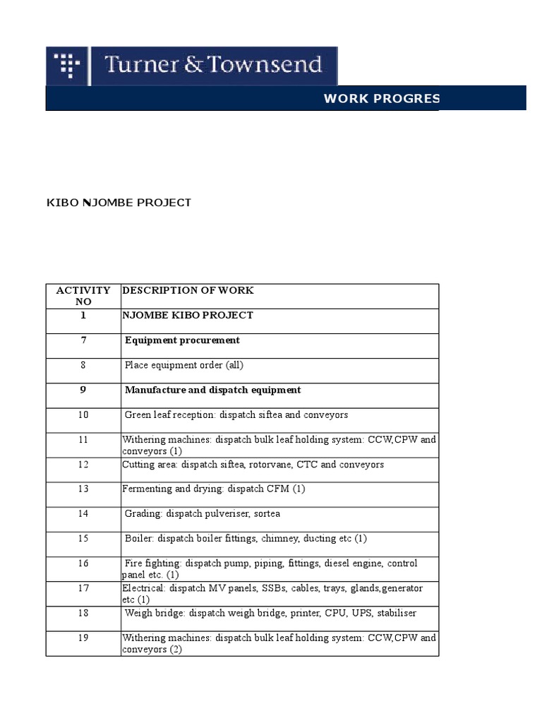 Detailed Activity Progress Report | PDF | Wall | Concrete
