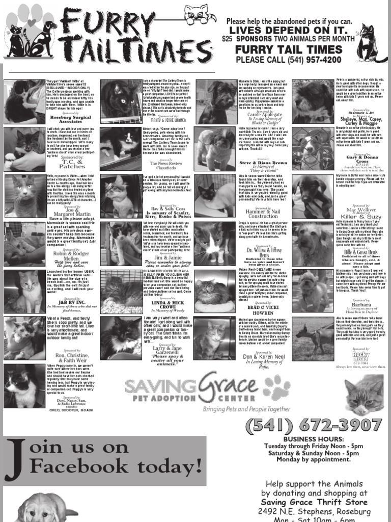 4402766D Furry Tail Times 9x16 JD | Download Free PDF | Cats | Dogs