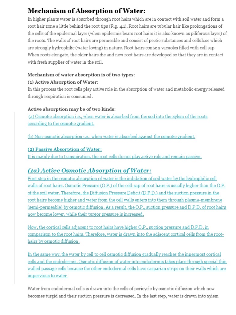 Mechanism of Absorption of Water | PDF | Soil | Root