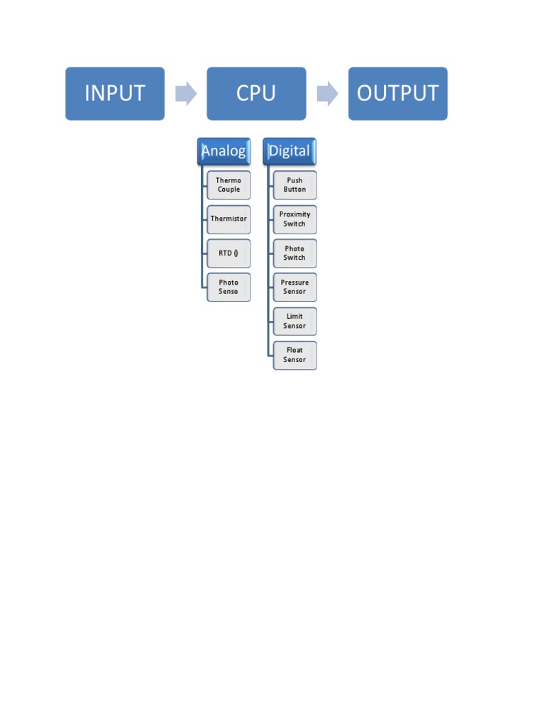 Input CPU Output: Analog Digital | PDF