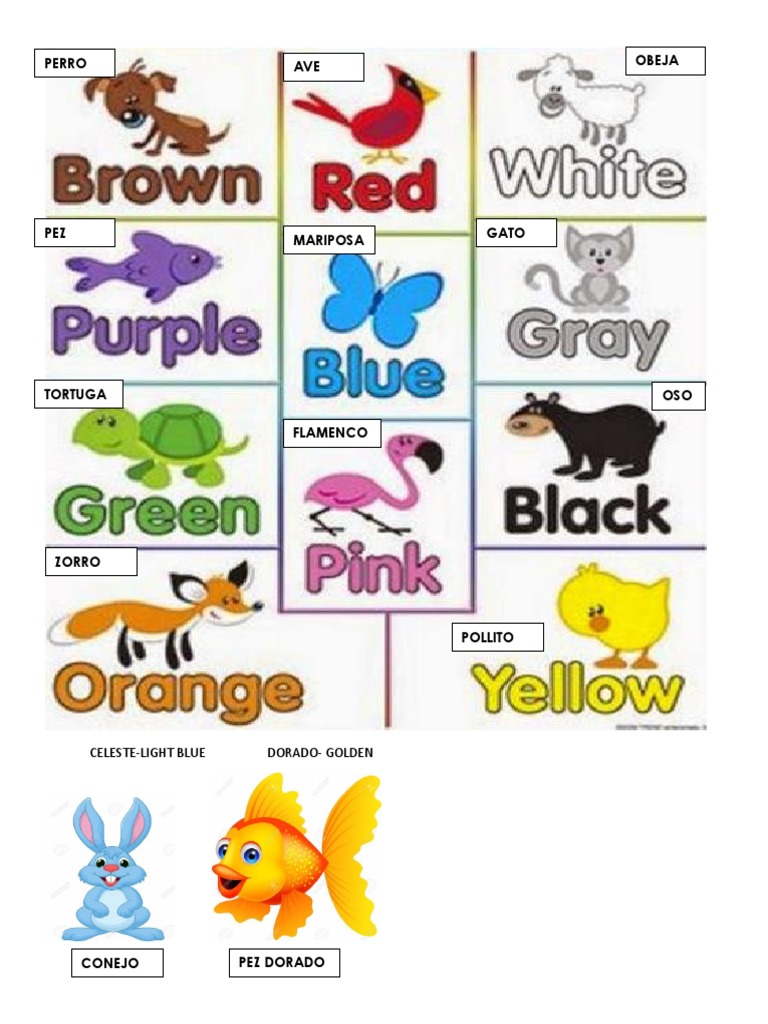 Animales y Colores en Ingles | PDF