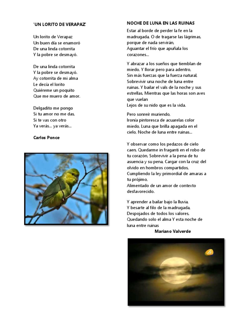 Un Lorito de Verapaz | PDF | Amor | Naturaleza