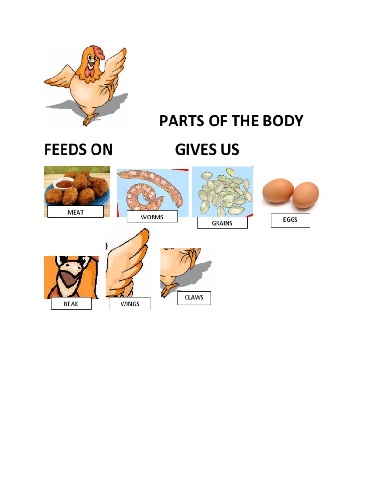 Parts of the Body and Animals | PDF