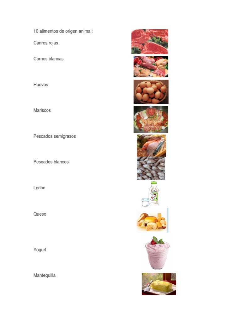 Que Son Los Alimentos De Origen Animal - Asesores