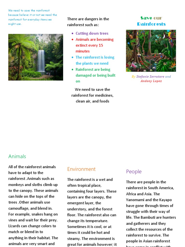 We Need To Save The Rainforest Brochure | PDF | Rainforest | Conservation