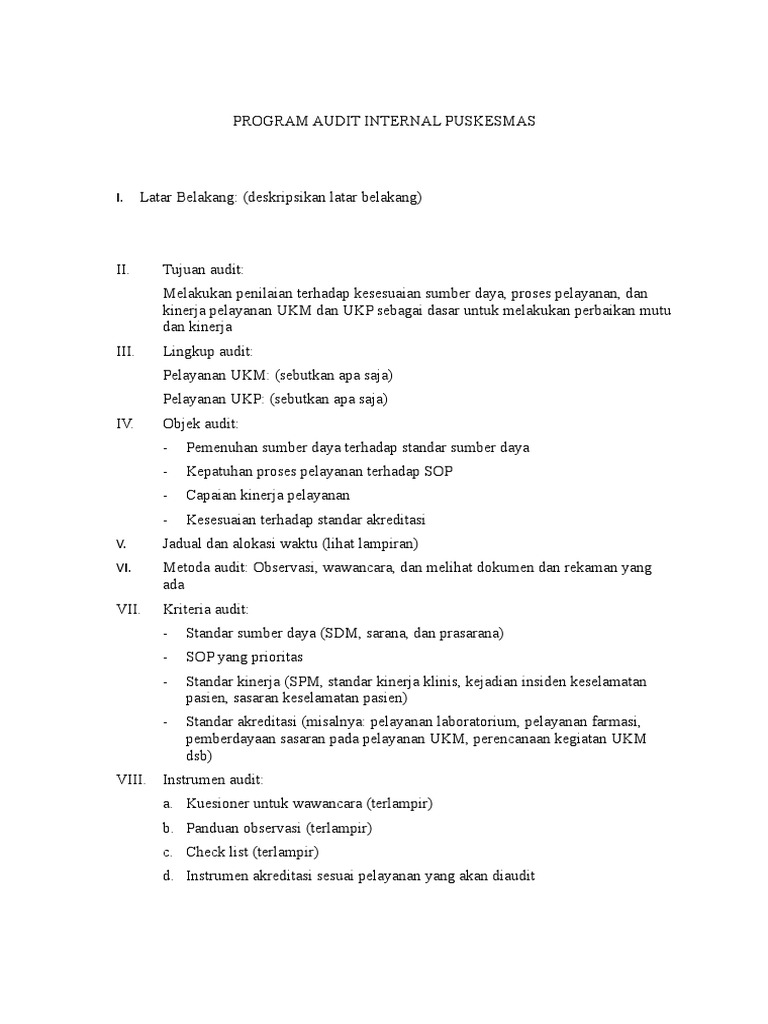 2.contoh Program Audit Internal Puskesmas | PDF | Bisnis | Teknologi & Rekayasa