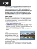 DESIERTO | PDF | Desierto | Tierra