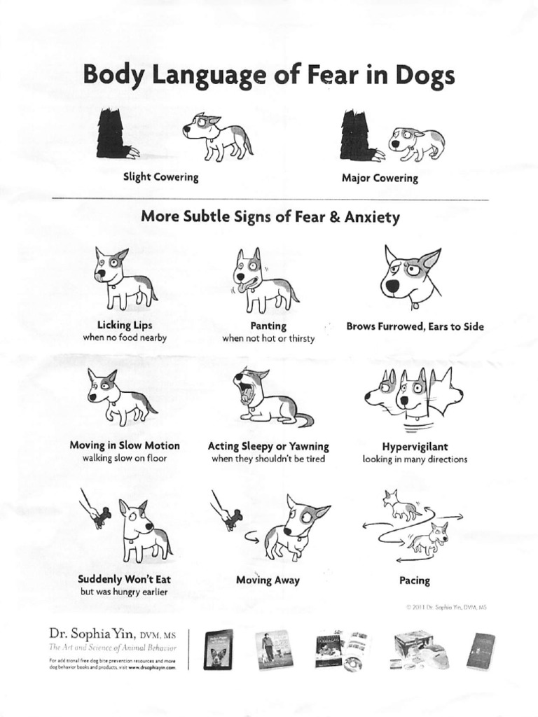 Dog Body Language Pdf