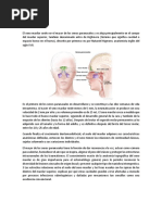 Triangulo de Farabeuf | PDF | Anatomía humana | Cabeza y cuello humanos