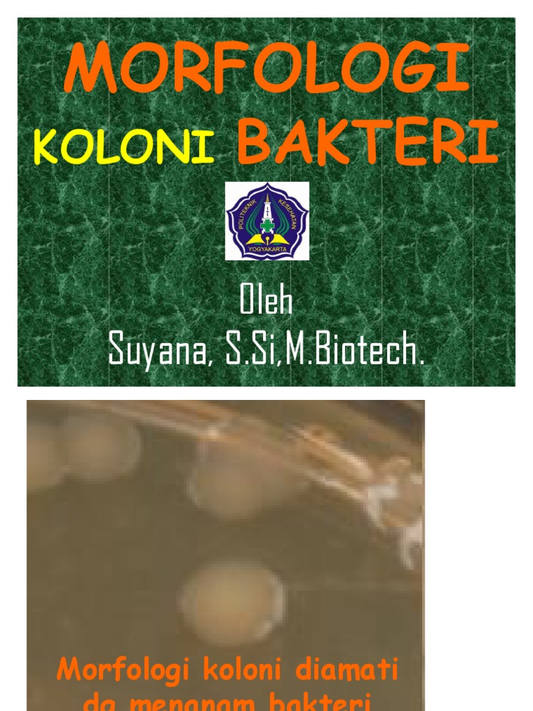 Morfologi Koloni | PDF