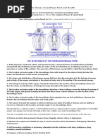 Itzhak Bentov - Stalking The Wild Pendulum - On The Mechanics of ...