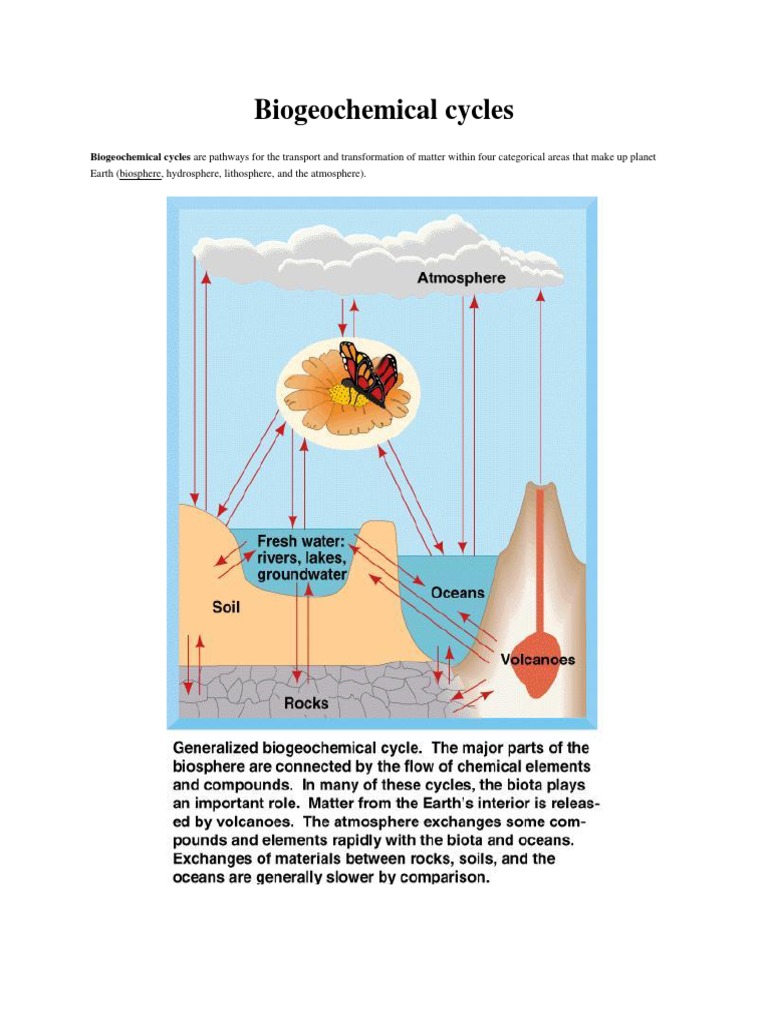 Biogeochemical Cycles | PDF | Surface Runoff | Water Cycle