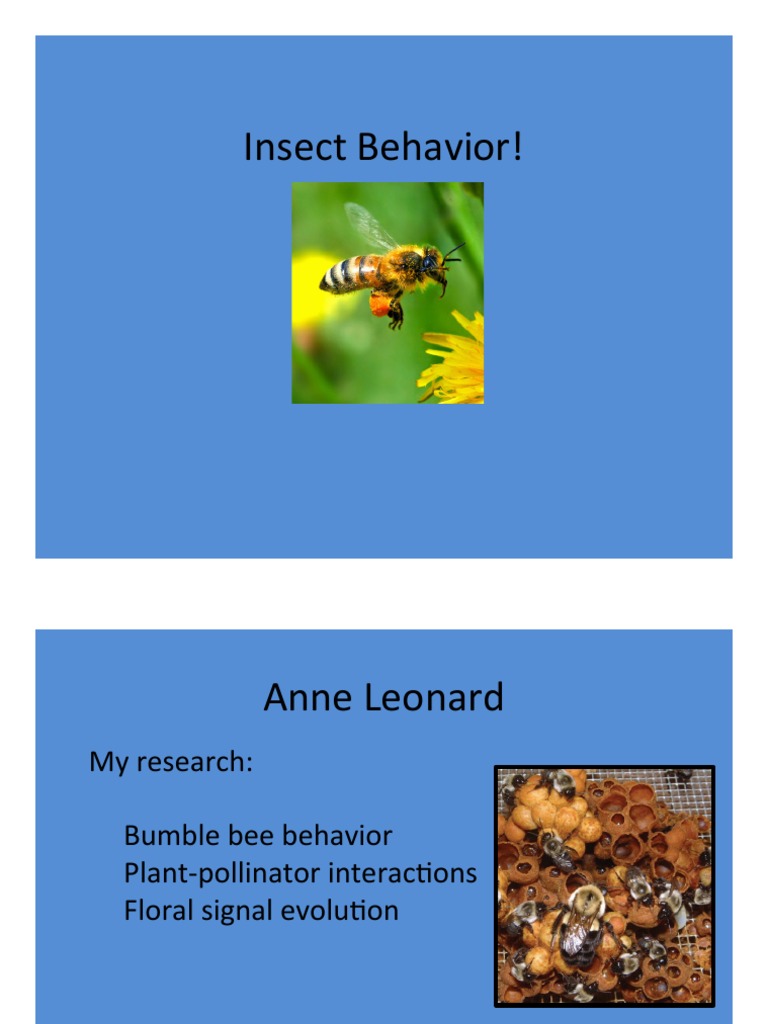 Insect Behavior | PDF | Insects | Mental Processes