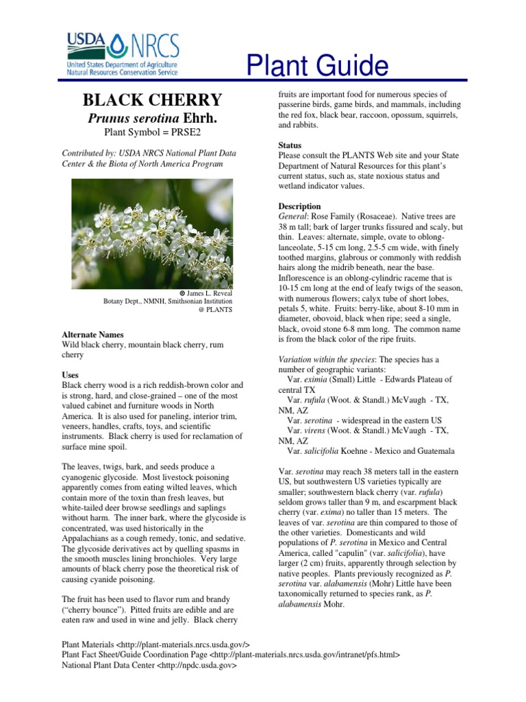 Guide To Organic Certification | PDF | Seed | Cherry