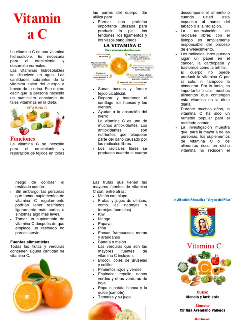 Funciones y Fuentes de Vitamina C | PDF | Vitamina C | Vitamina