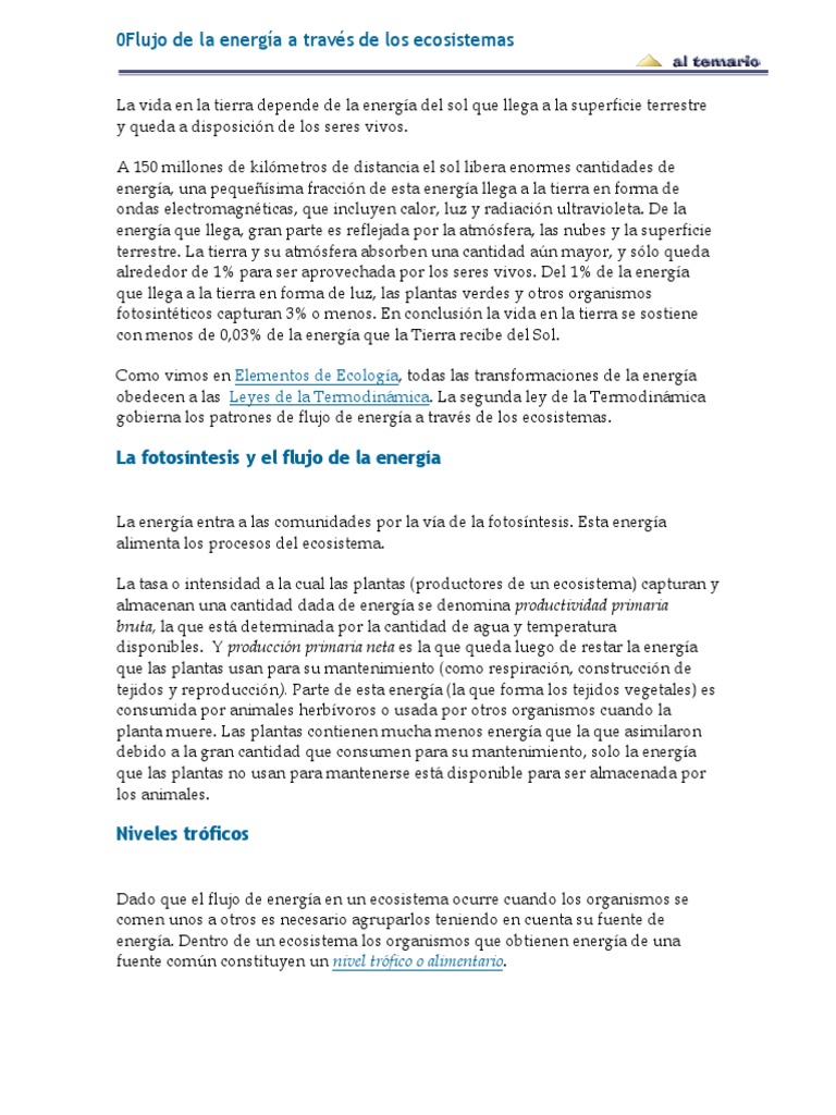 Flujo de energía en ecosistemas terrestres | PDF | Plantas | Entorno ...