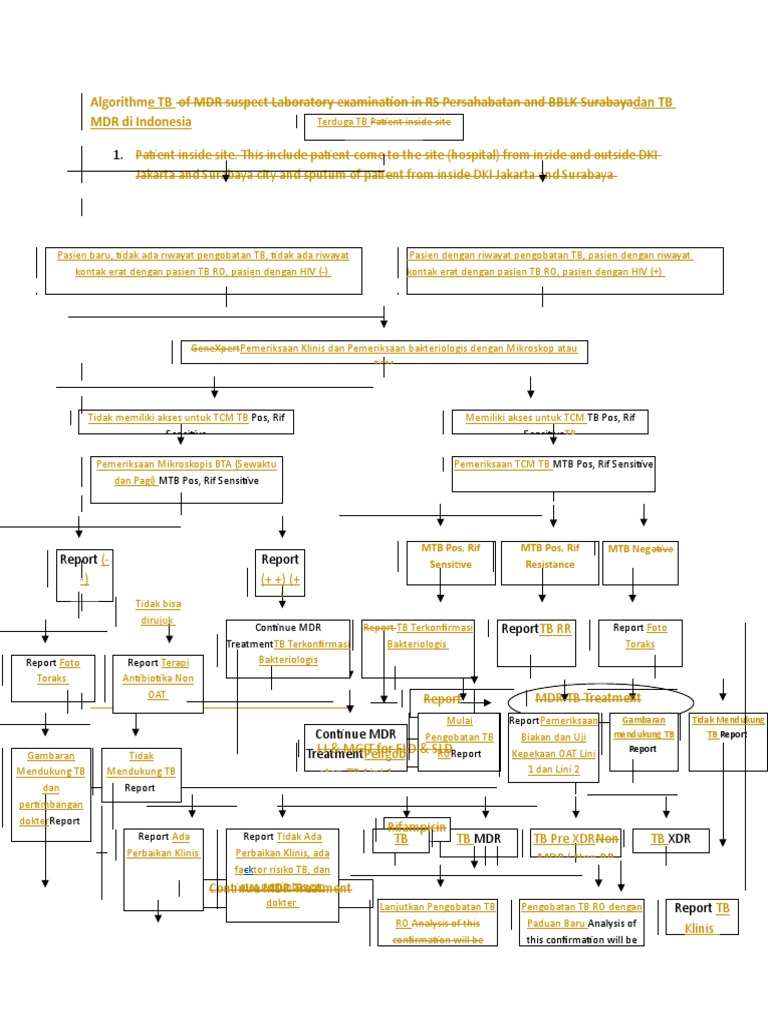 Algoritma Diagnosis TB Baru Luki | PDF | Mikrobiologi | Antibiotik