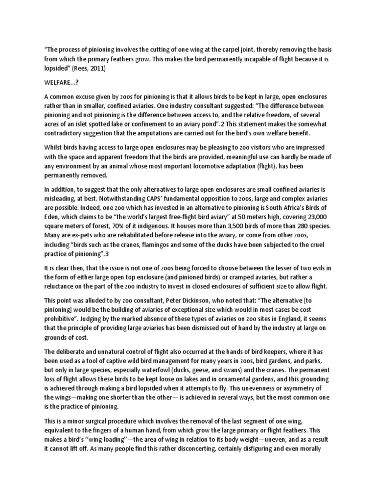 The Process of Pinioning Involves The Cutting of One Wing at The Carpel ...