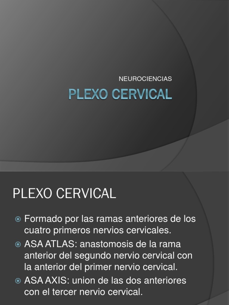 Plexo Cervical | PDF | Neuroanatomía | Anatomía del miembro inferior