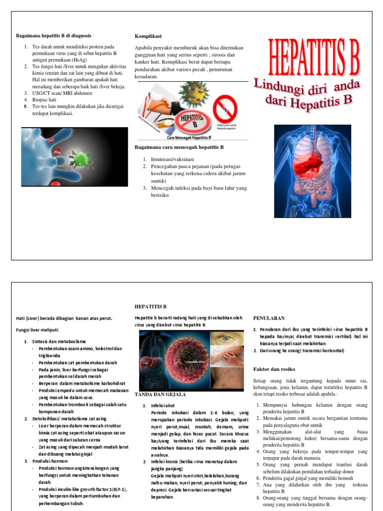 Leaflet Hepatitis B | PDF