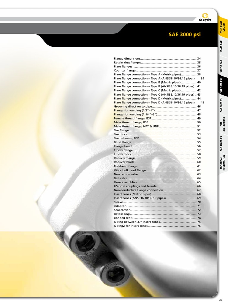 SAE Fittings | PDF | Galvanization | Pipe (Fluid Conveyance)