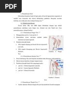 PPK Hernia Inguinalis Lateralis Fix | PDF