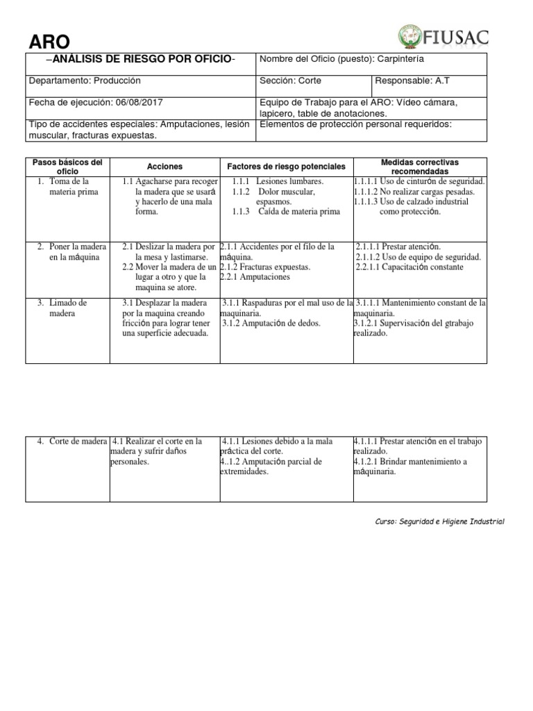 Formato ARO | PDF | Bienestar | Medicina