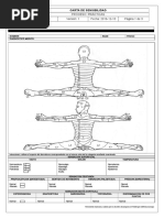 PALESTESIA Definicion y Exploración | PDF | Mano | Sistema ...