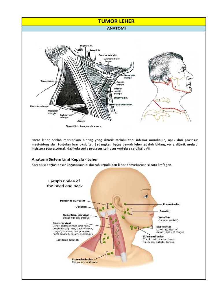 Rangkuman Tumor Leher | PDF