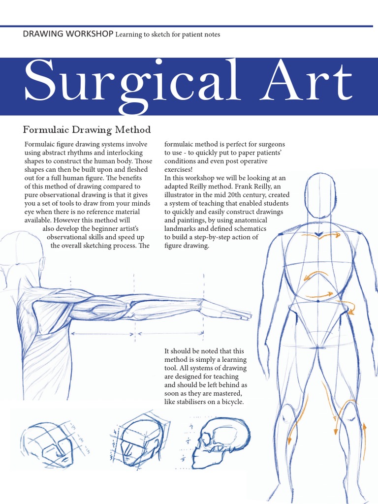 Reilly Method for Anatomy Sketching | PDF