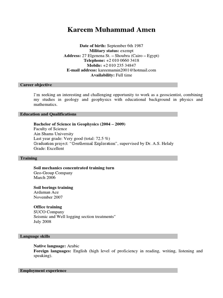 Kareem'CV PDF | PDF | Geographic Information System | Geophysics