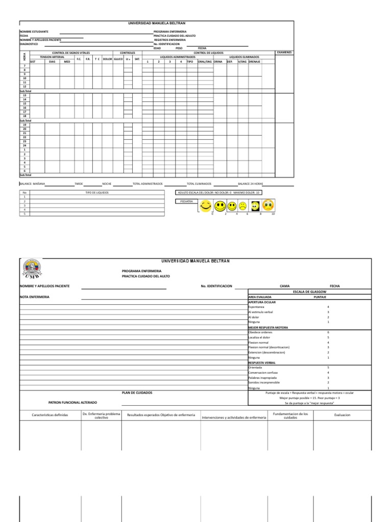 Formato Registros Enfermería Postquirúrgica 1 | PDF | Enfermería | Dolor