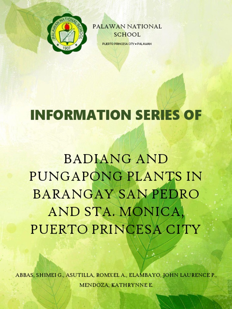 Information Series Of: Badiang and Pungapong Plants in Barangay San ...