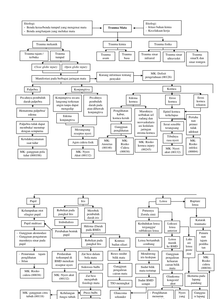 WOC Trauma Mata | PDF