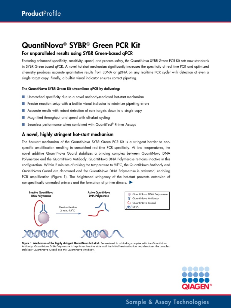 Quantinova Sybr Green PCR Kit: Profile PDF Real Time, 60% OFF