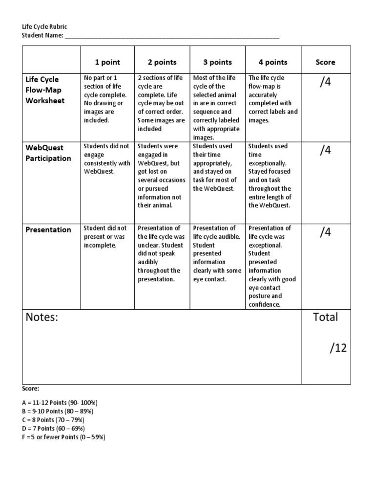 Life Cycle Rubric | PDF | Cognition | Cognitive Science